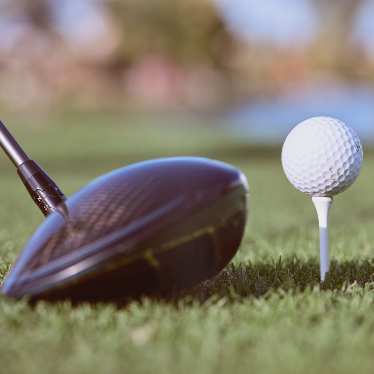 Drivers – Par Par Birdies