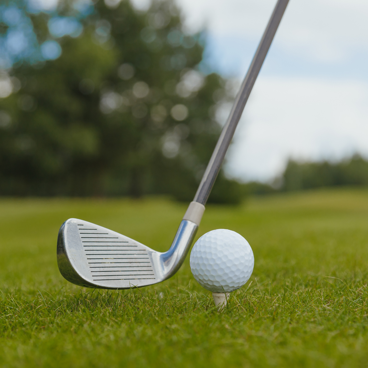 Irons – Par Par Birdies