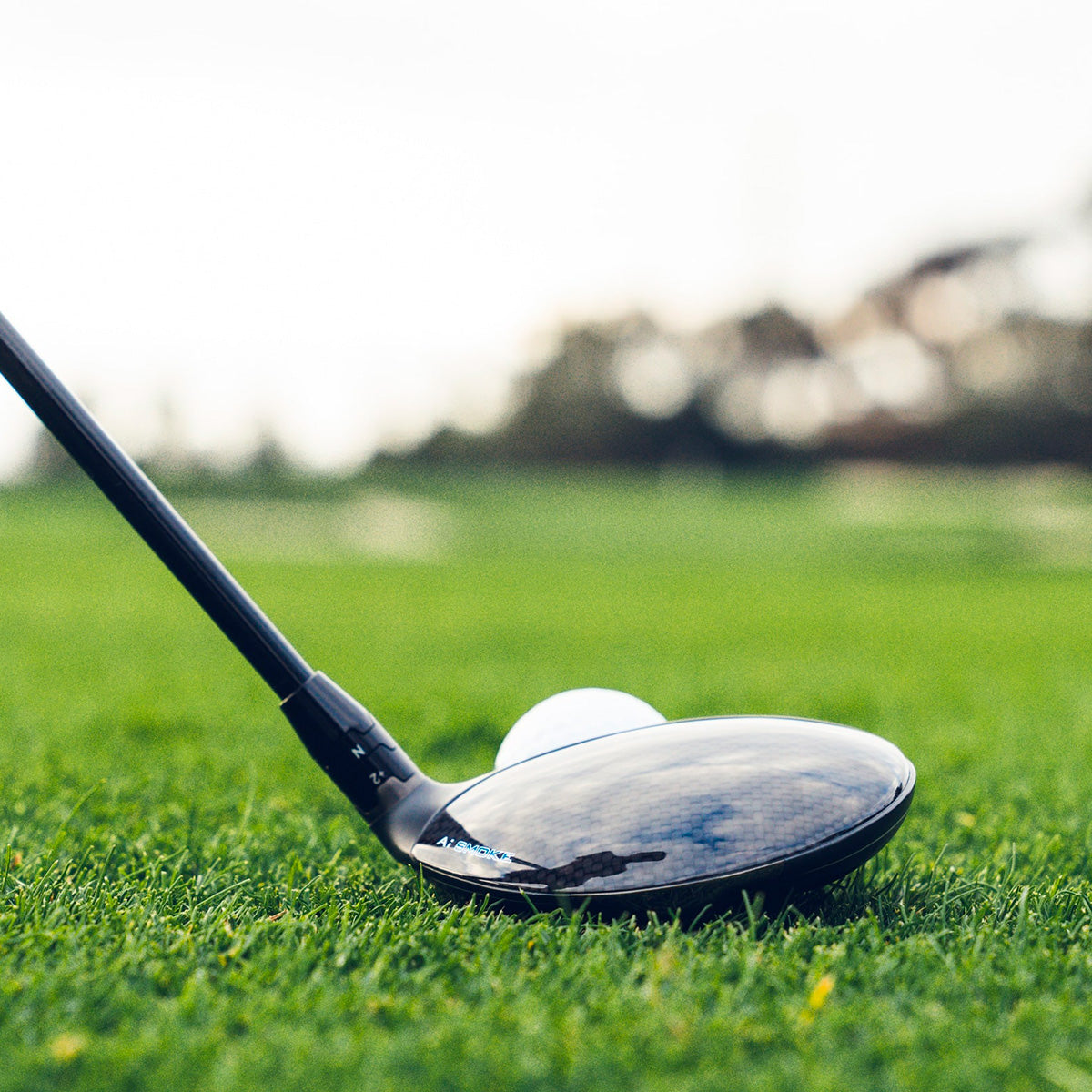 Woods – Par Par Birdies